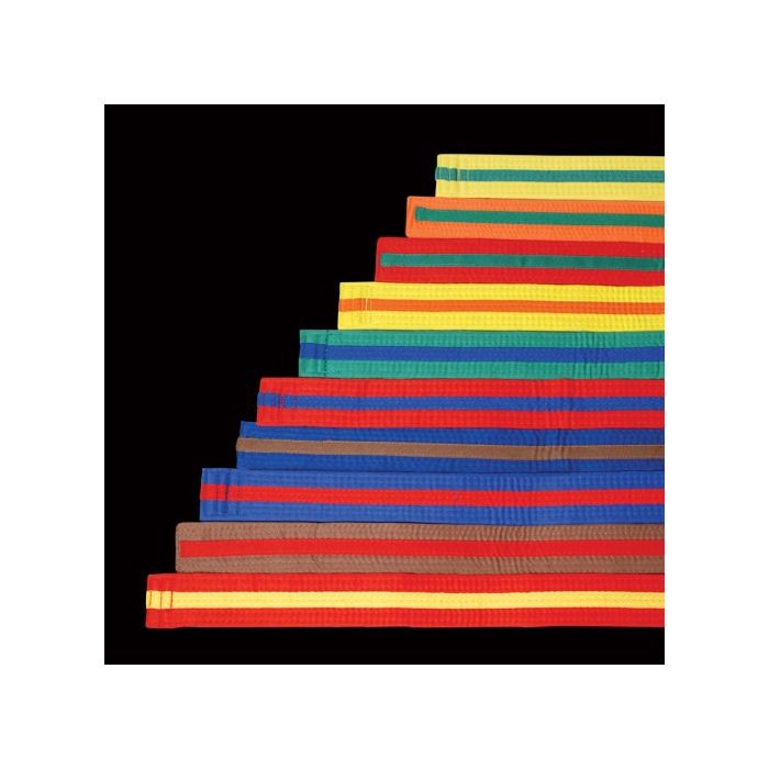 DYNAMICS COLOR STRIPED COLOR BELT